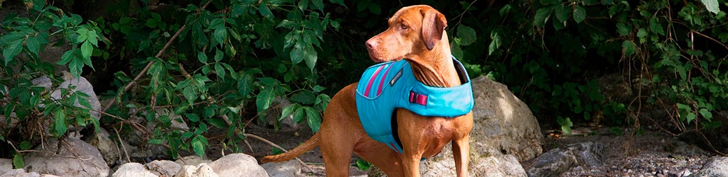 Best Life Jackets (PFD) For Dogs 2022 » The Paddleboard Nerd